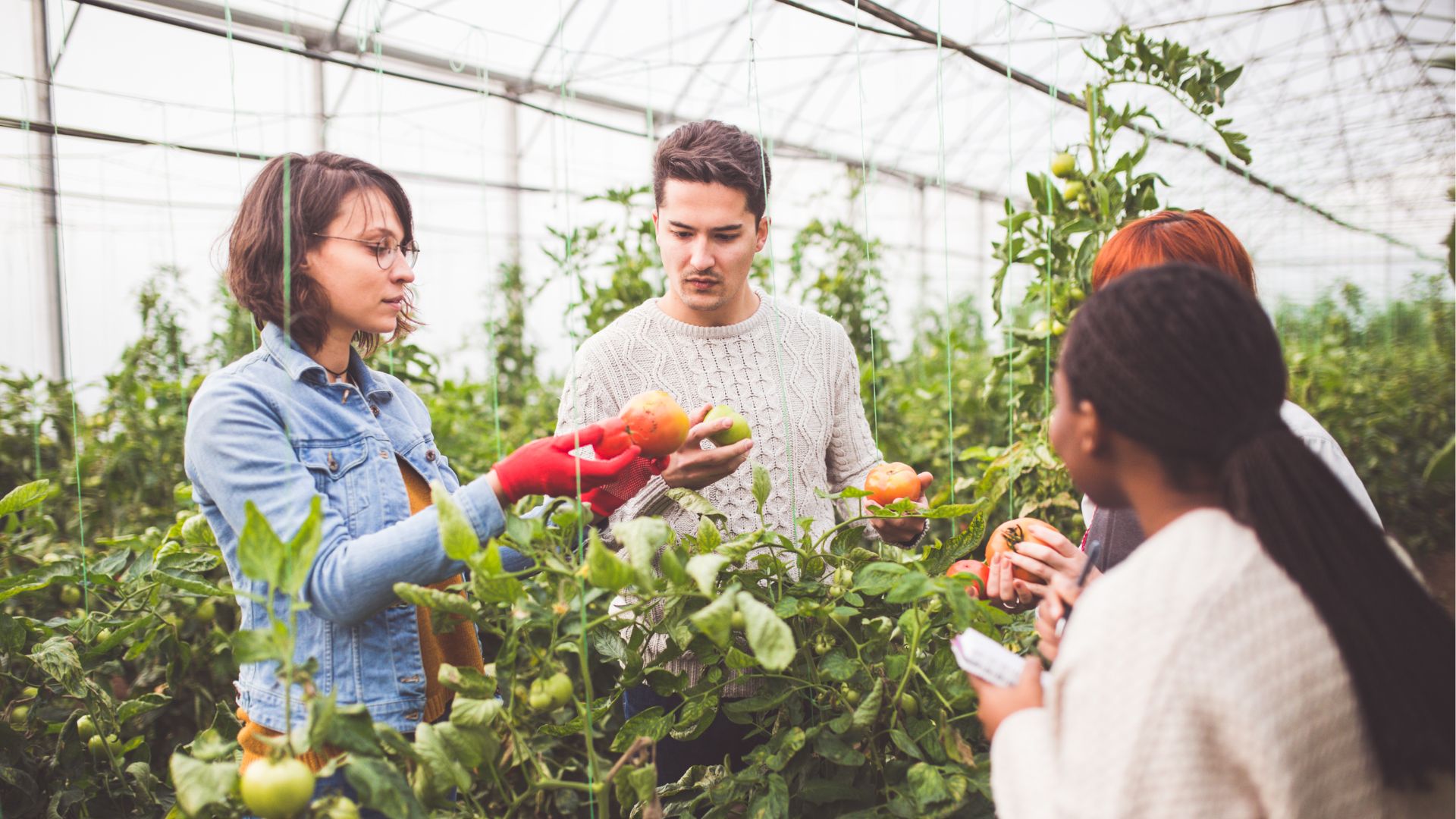 Consommation responsable et choix alimentaires | Ayming Canada